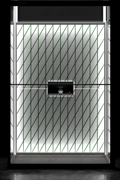 Home Elevator Design Walls | HD Homelift Solutions